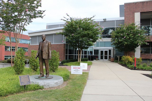 Find Your Passion through Exploratory Studies - Rowan Blog