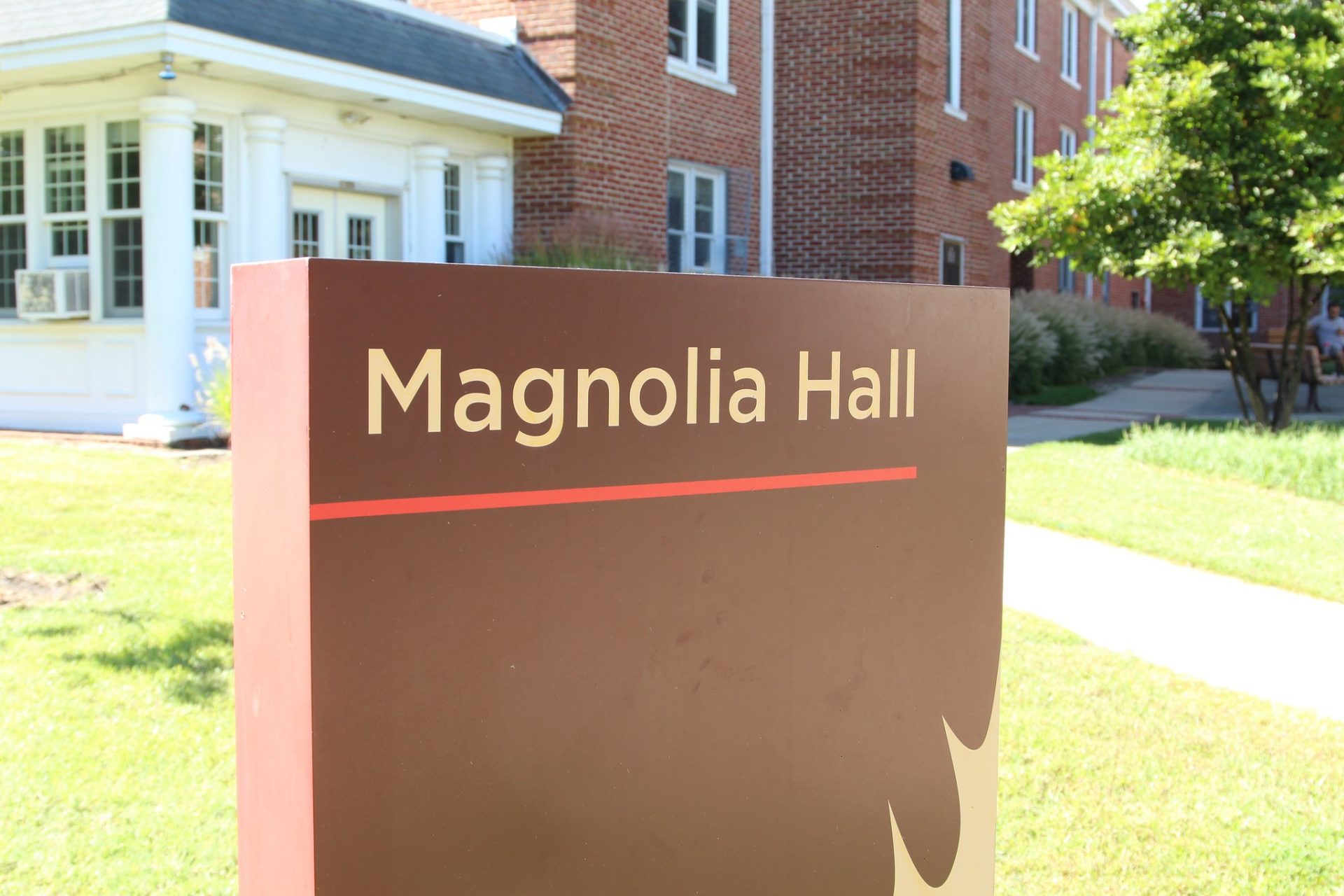 Inside Look: 5 Reasons Brinsley Loves Living in Magnolia Hall - Rowan Blog