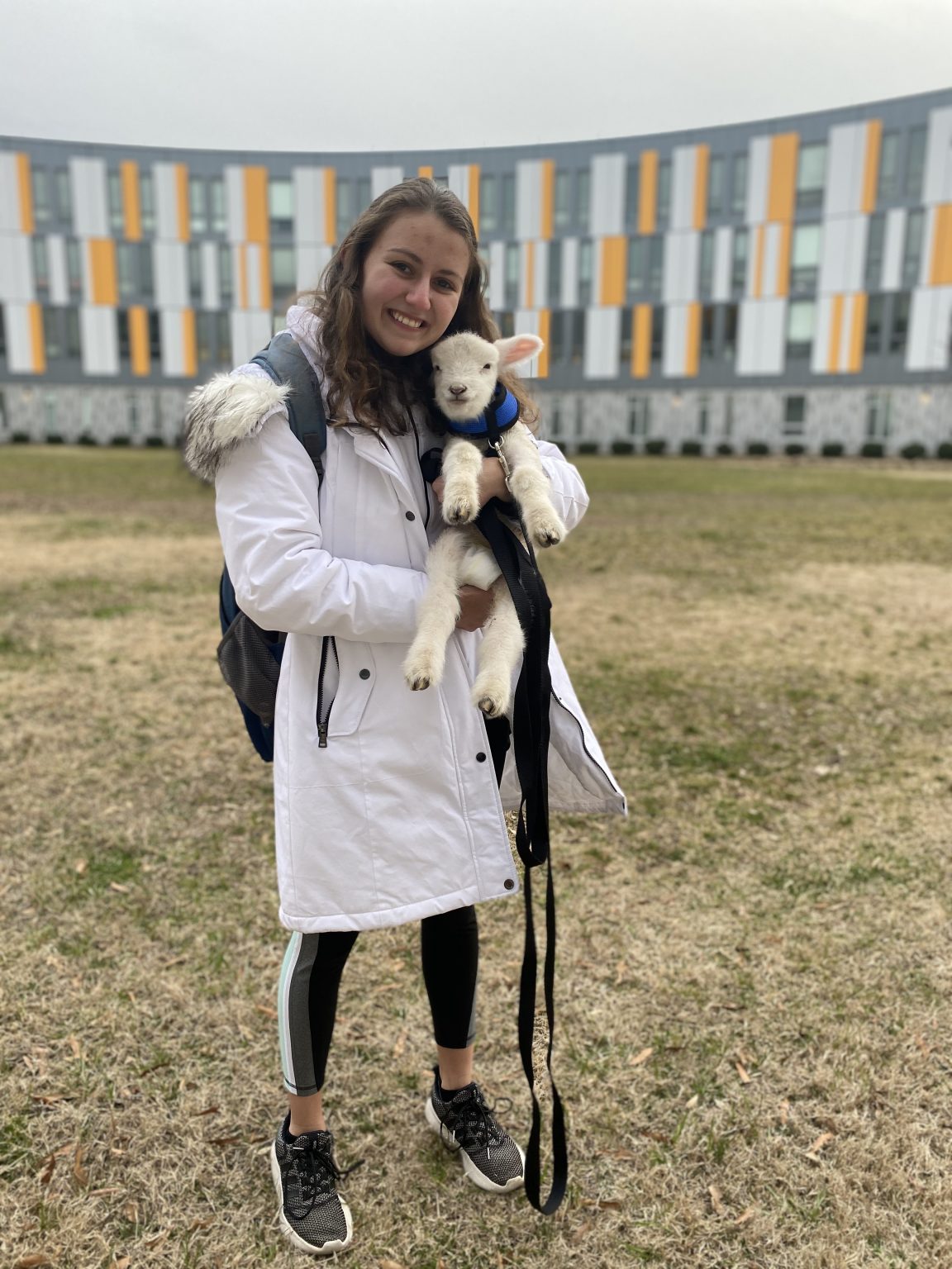 University Housing - Rowan Blog