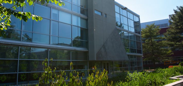 Rowan University Student Stories