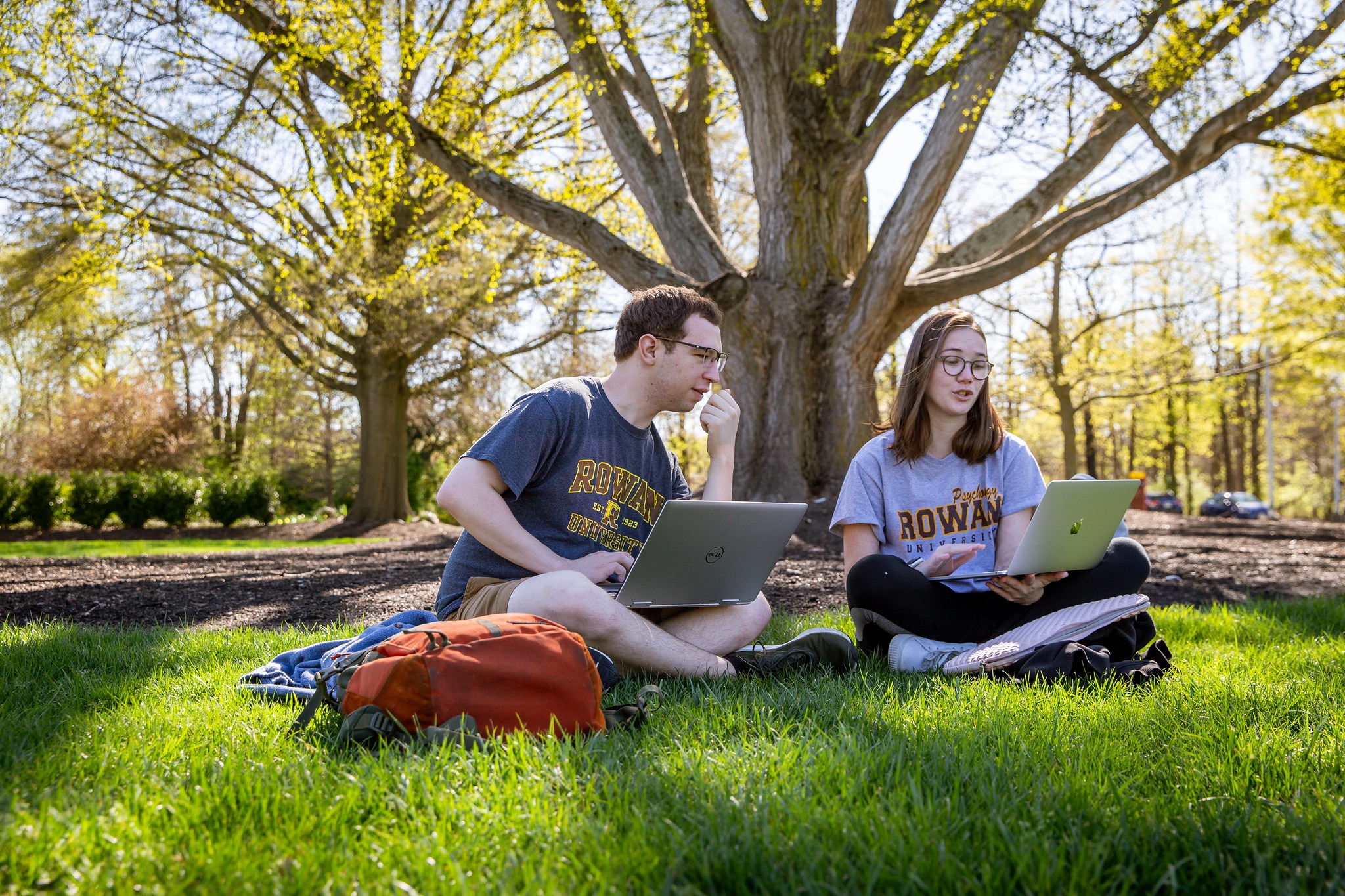 What Is a Liberal Studies Degree and Why Earn Yours Online?