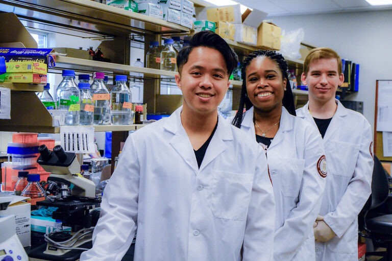 First-Year Medical School Curriculum: One School's Helpful Intro